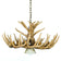 12 Antler Whitetail Cascade Chandelier | Cabin Place – The Cabin Place